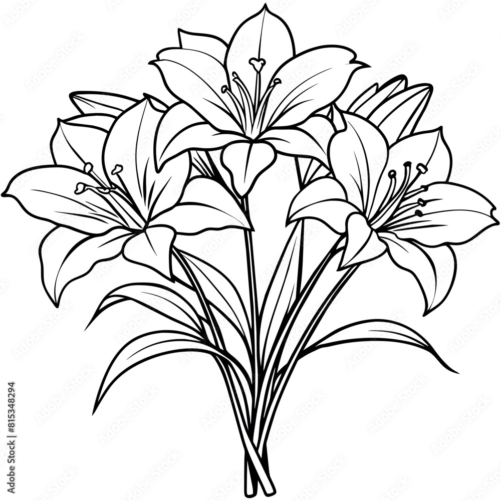 Amaryllis Flower outline illustration coloring book page design ...