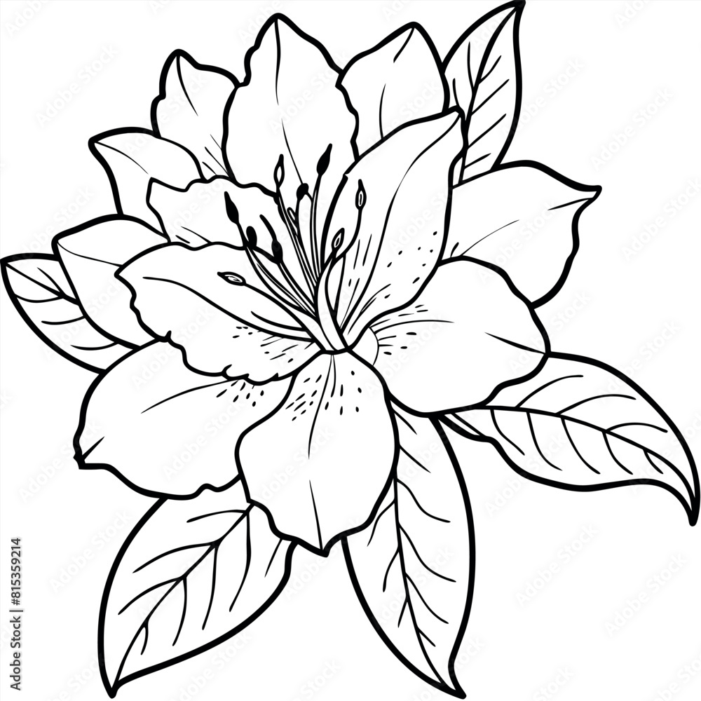 Azalea flower outline illustration coloring book page design, Azalea ...
