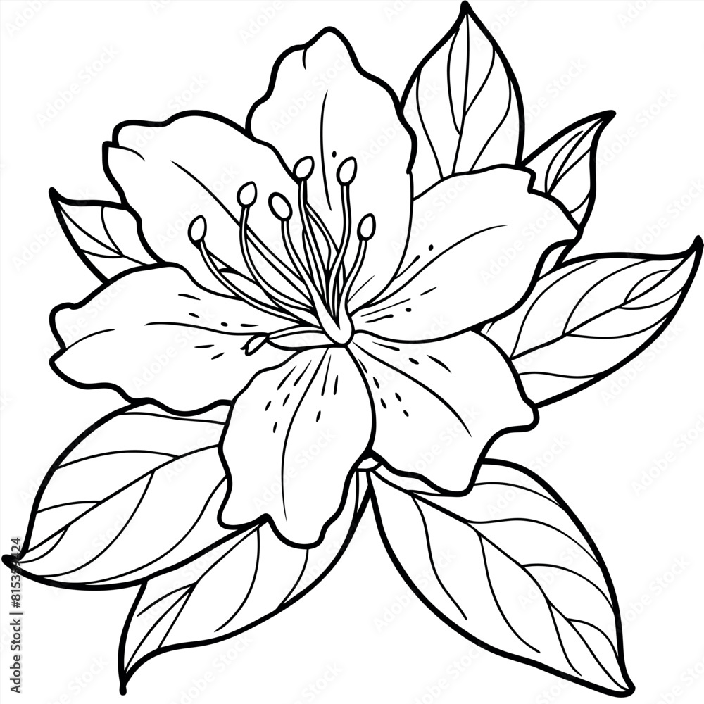Azalea flower outline illustration coloring book page design, Azalea ...