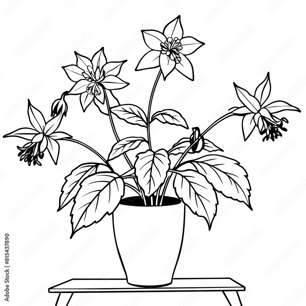 Стоковий вектор Columbine flower outline illustration coloring book ...