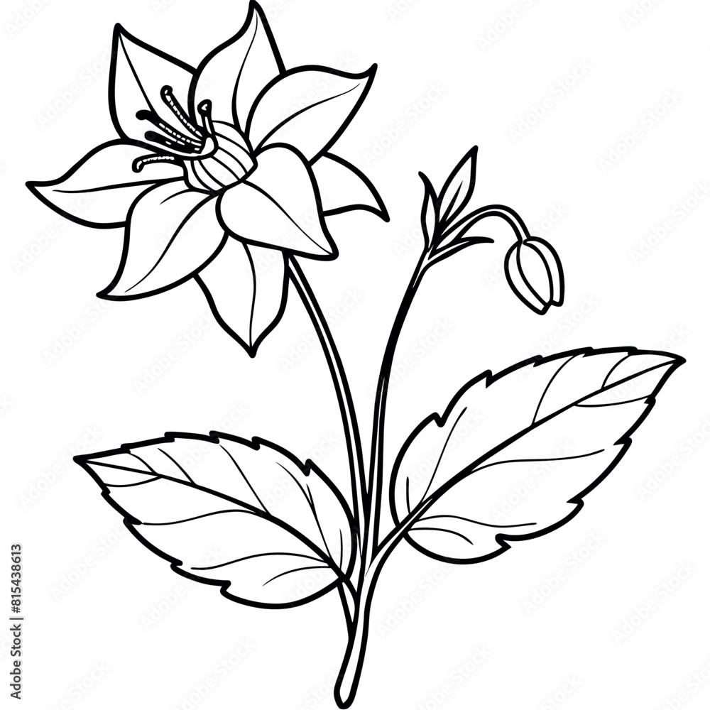 Columbine flower outline illustration coloring book page design ...