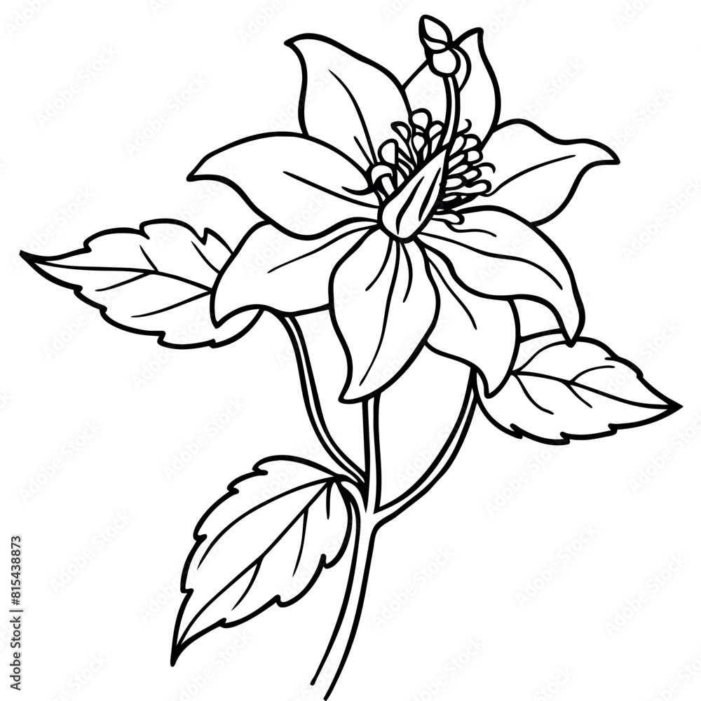 Columbine flower outline illustration coloring book page design ...