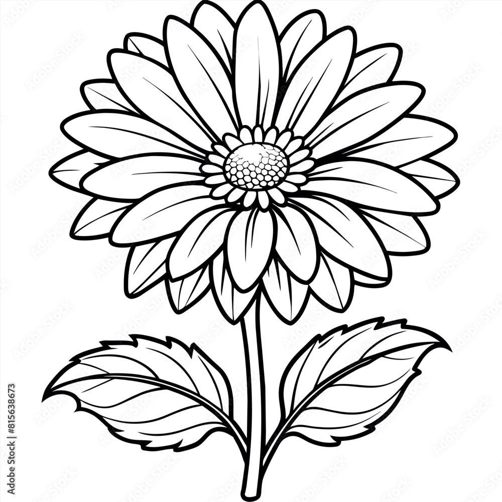 Gerbera Daisy flower outline illustration coloring book page design ...