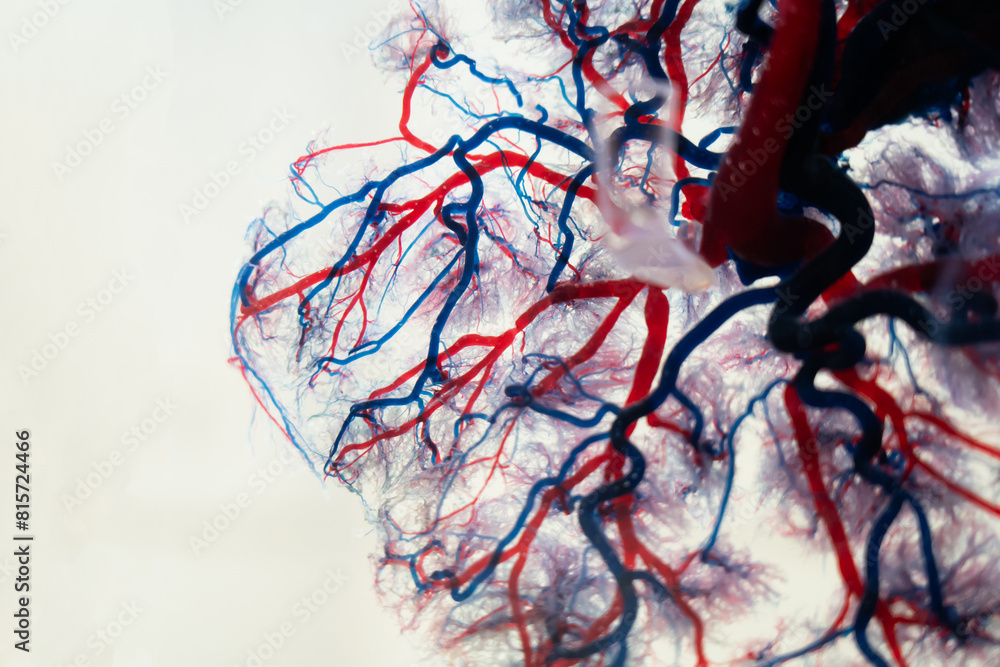 Capillary background, blood vessel, is a medical procedure used to ...