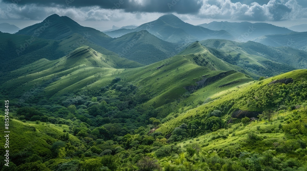 Capture a stunning landscape photograph showcasing the lush greenery of ...