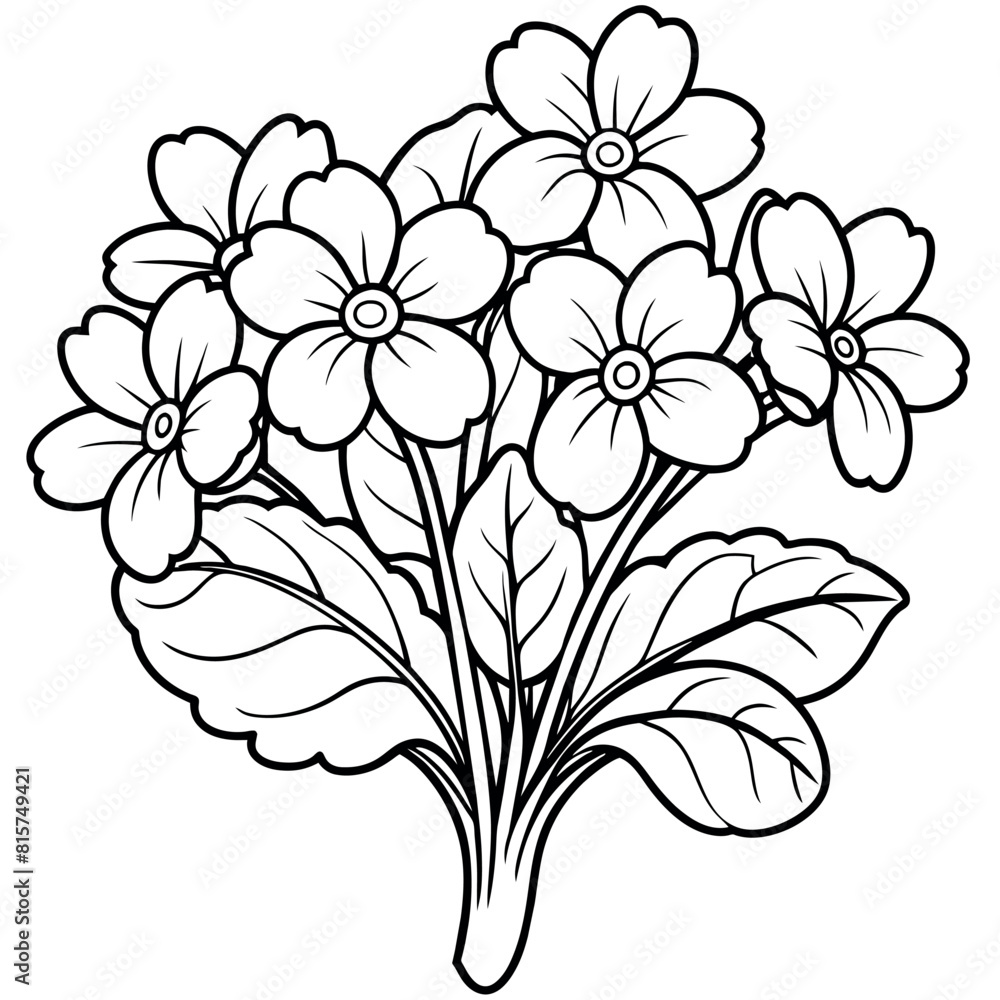 Primrose flower outline illustration coloring book page design ...
