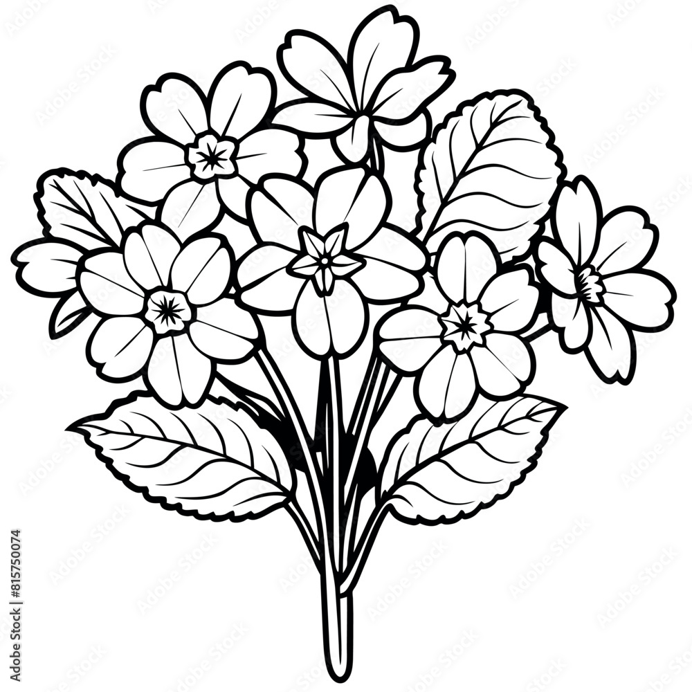 Primrose flower outline illustration coloring book page design ...