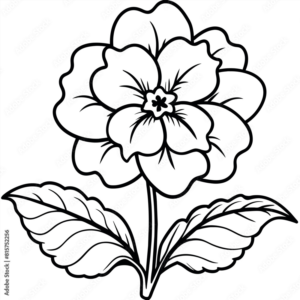 Primrose flower outline illustration coloring book page design ...