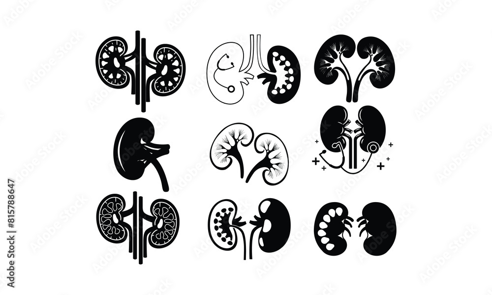Kidney SVG,, Silhouette, Cut File, cutting files, printable design ...