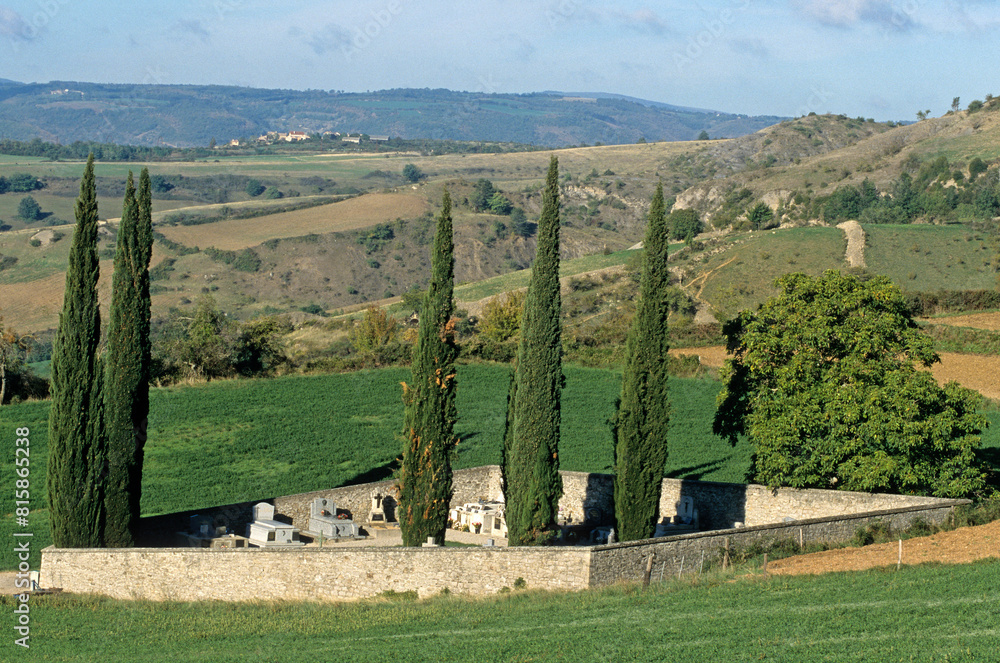 Cupressus sempervirens, Cyprés de Provence, Parc naturel régional des ...