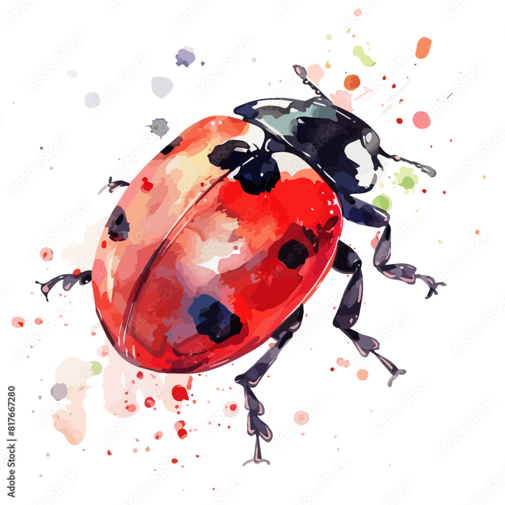 Watercolor painting of a ladybug, isolated on a white background ...