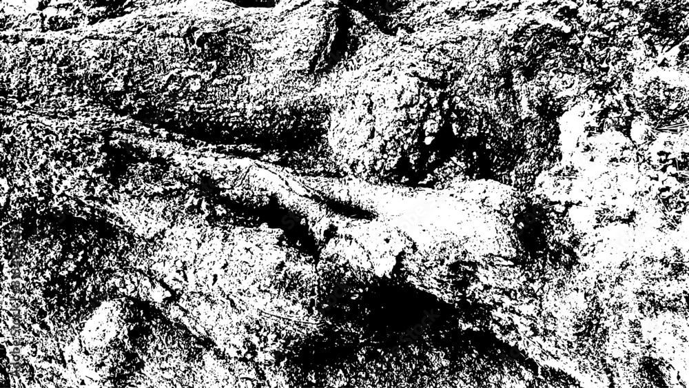 5-48. Tree bark texture effect - illustration. Black and white vector ...