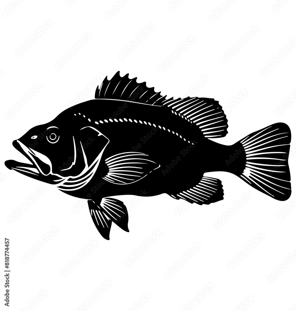 Barramundi fish silhouette, Barramundi fish icon vector illustration ...