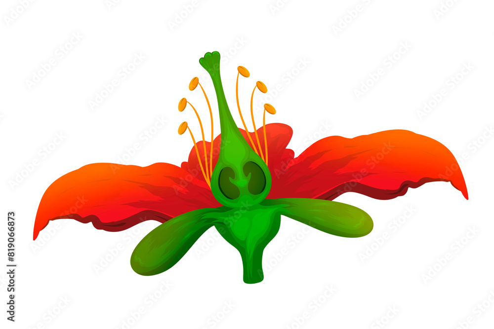 Detailed diagram of a flower cross-section showing labeled parts ...