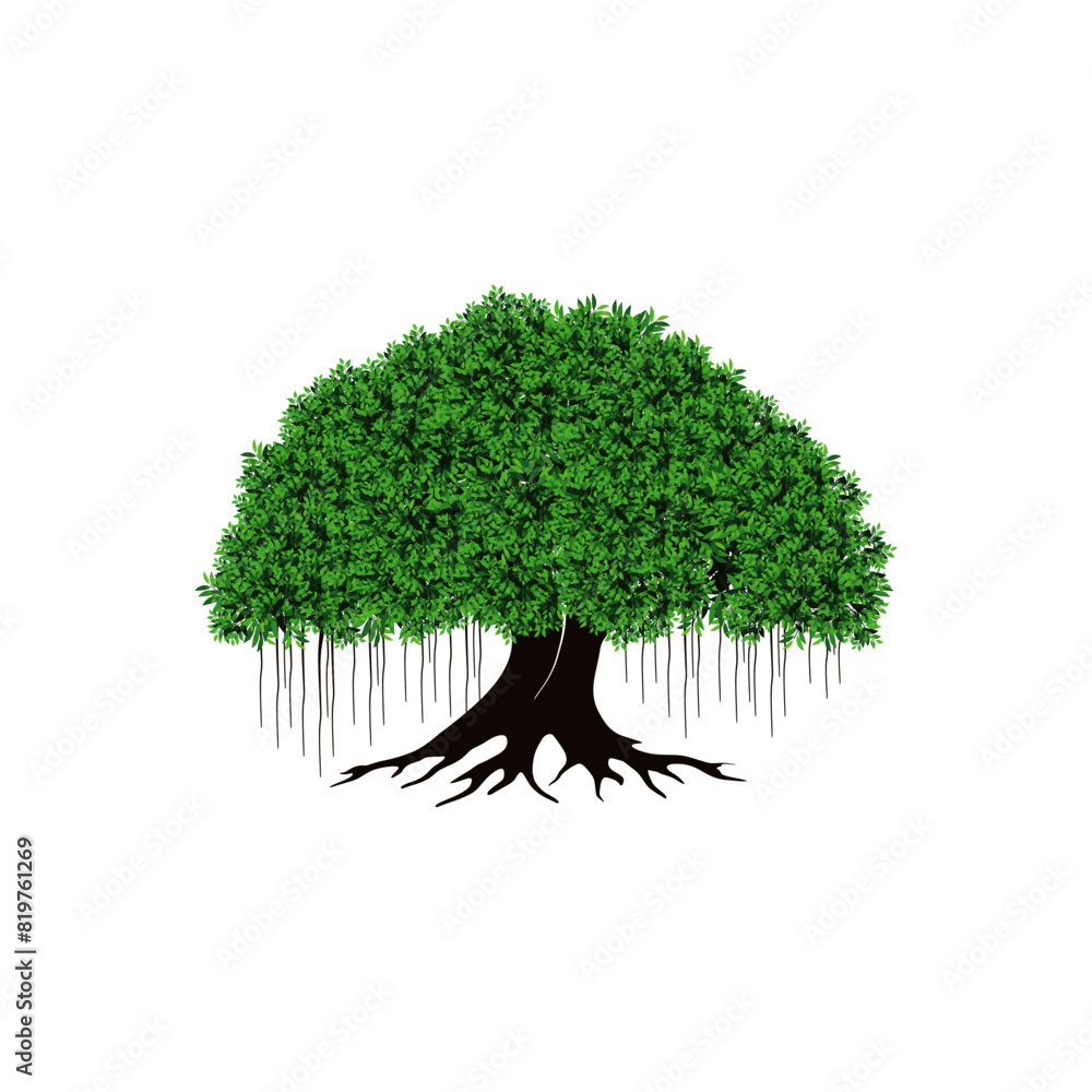 Banyan Tree vector illustration isolated on white background Stock ...