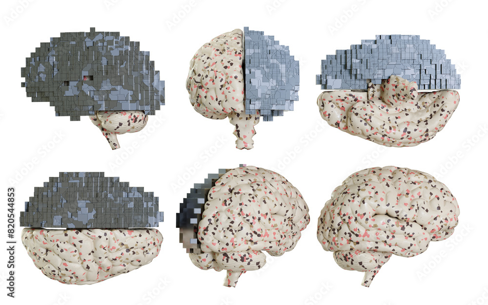 3D Render, Medical & Sci-Fi Brain Anatomy: human vs. AI (6 Views ...
