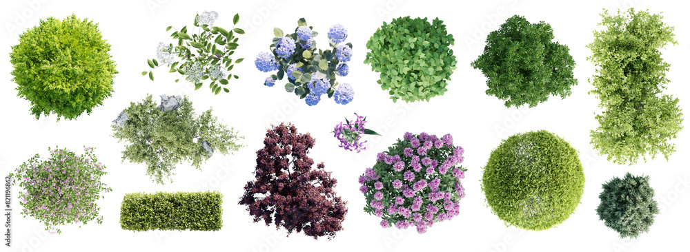 Different types of garden plants isolated on transparent background ...