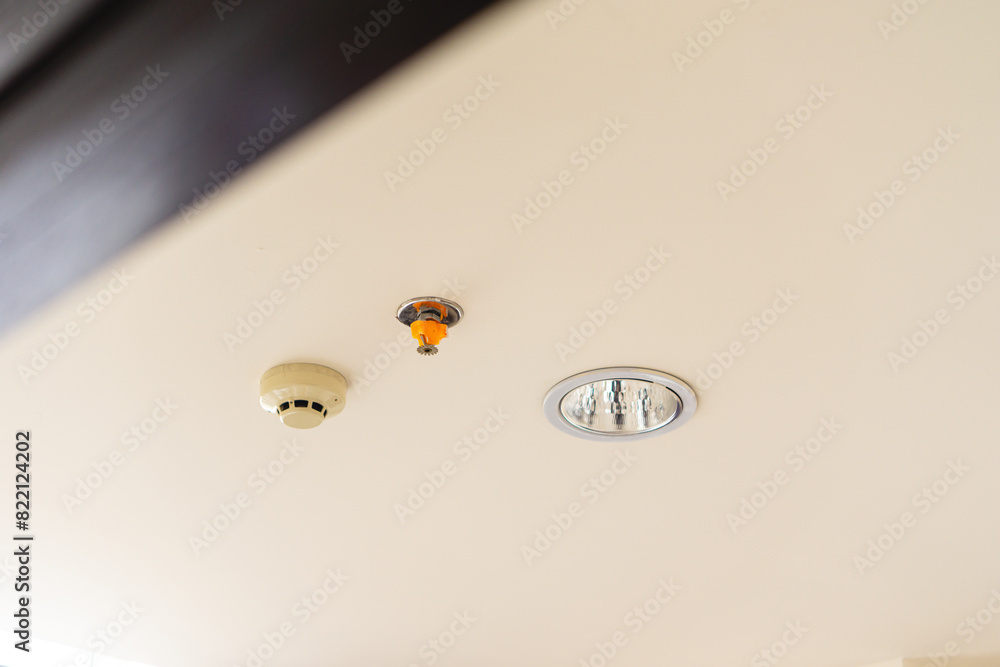 smoke detector and fire sprinkler, on a ceiling, safety protocol for ...