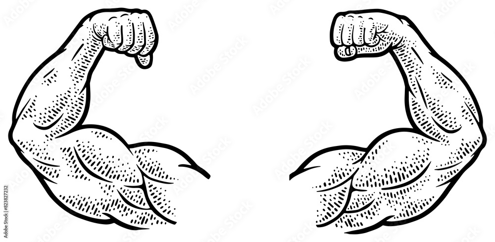 Muscular hands arms of strong man bodybuilder sketch engraving PNG ...