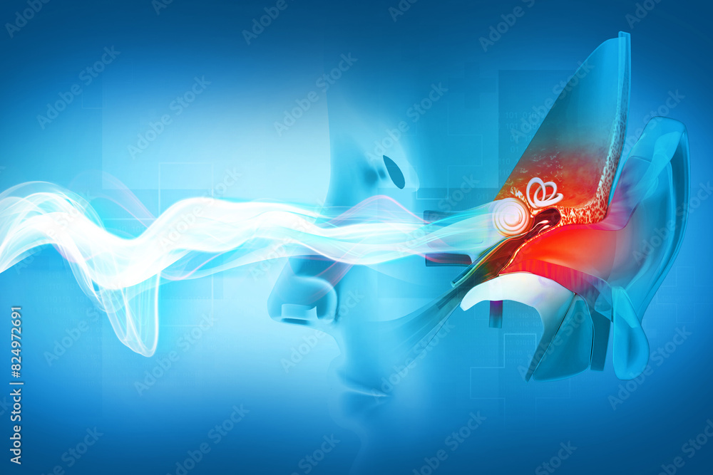 Stock-Illustration „The anatomical structure of the human ear, sound ...