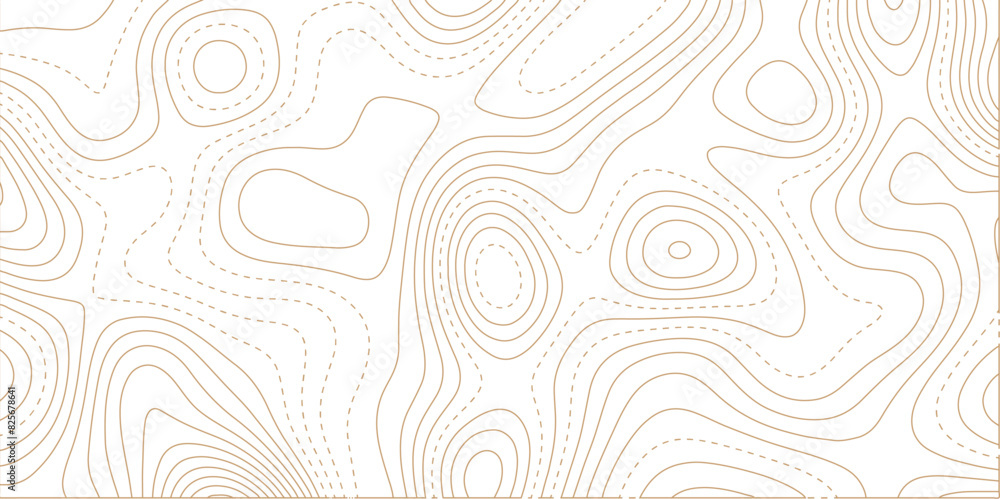 abstract white wave paper curved reliefs background. Topography map ...