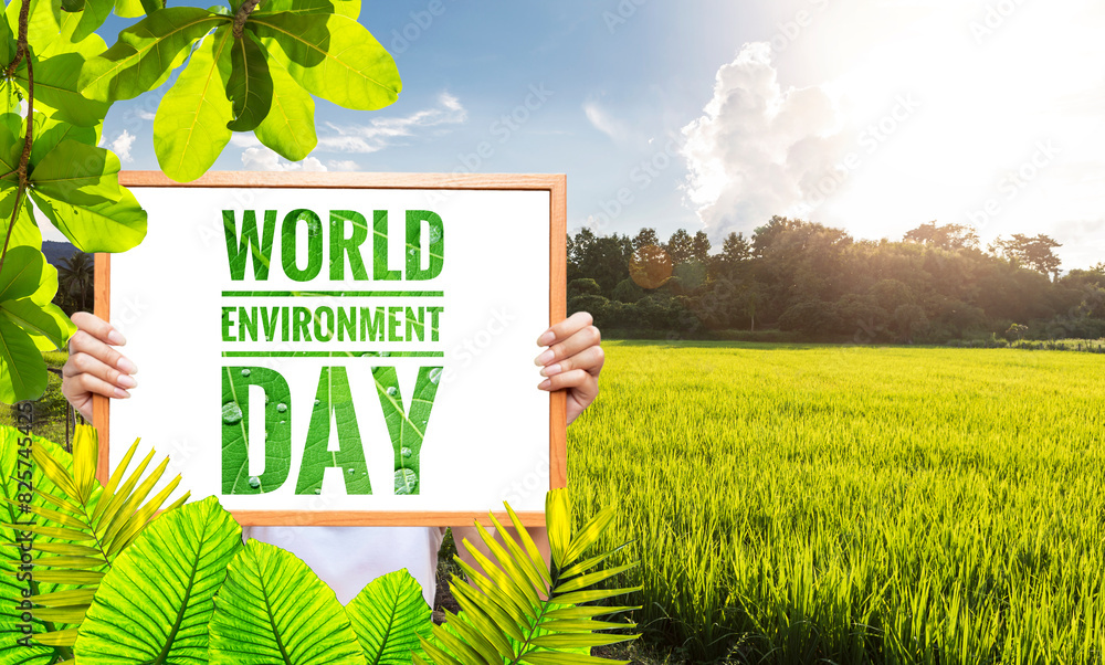 Girl holding World Environment day sign over sunset rice field ...