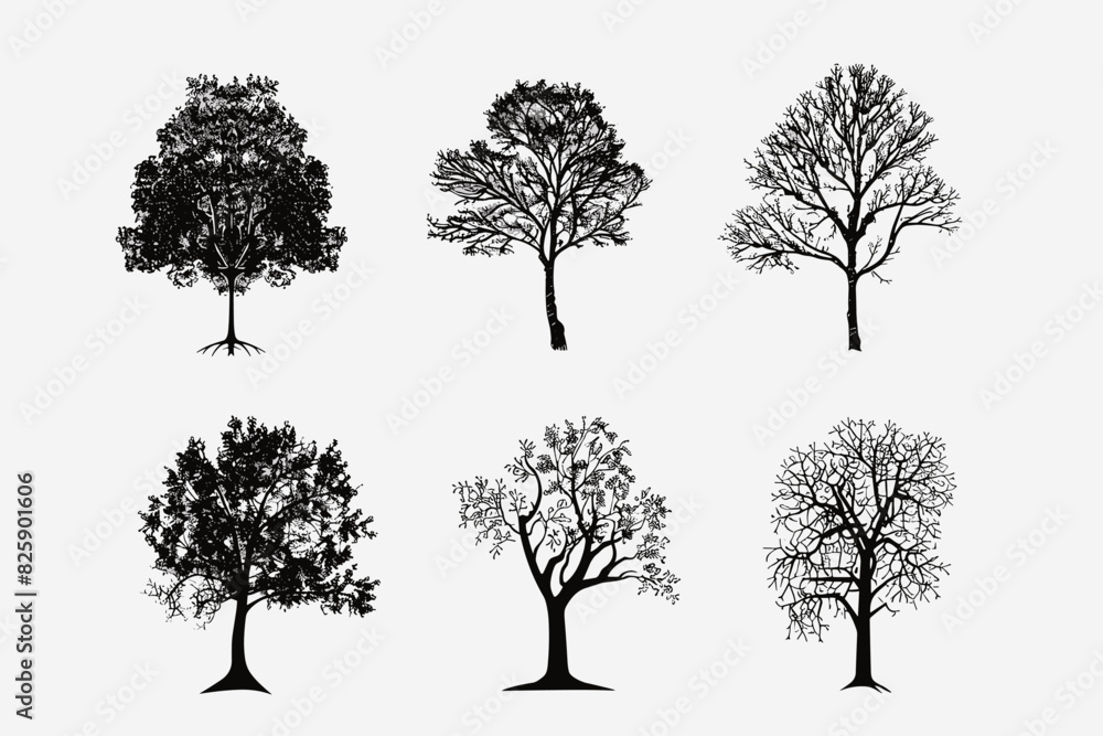 Silhouette tree set. Side view, set of graphic trees elements outline ...