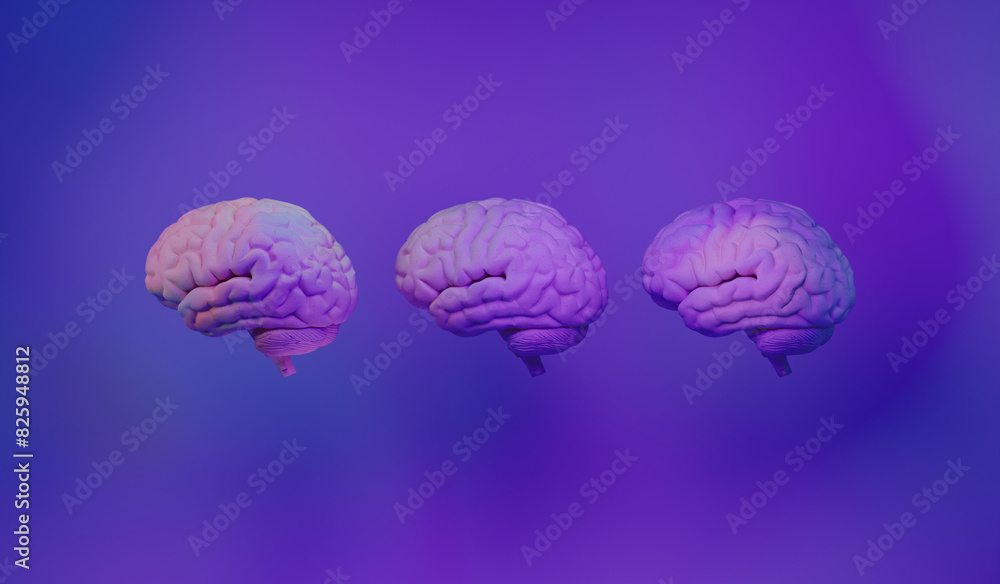 hree brains, Anatomy, Medical Illustration, Gradient, Pastel Colors ...