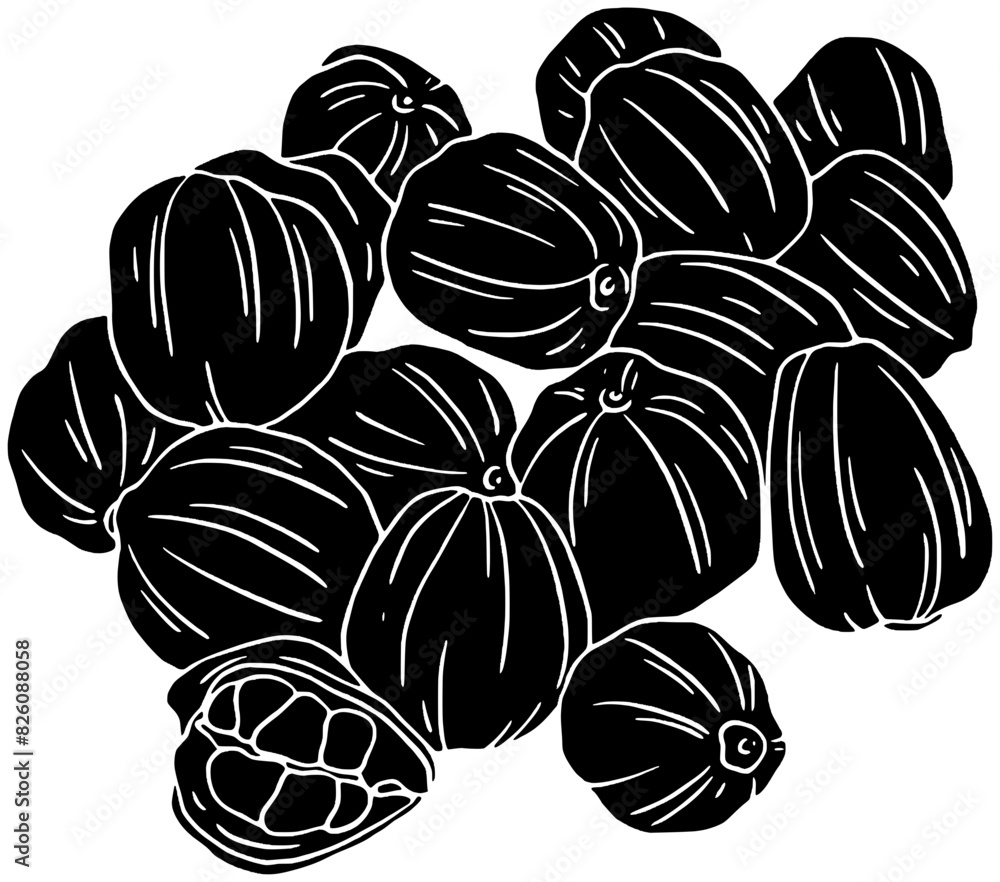 cardamom illustration seasoning silhouette indian logo food icon pepper ...