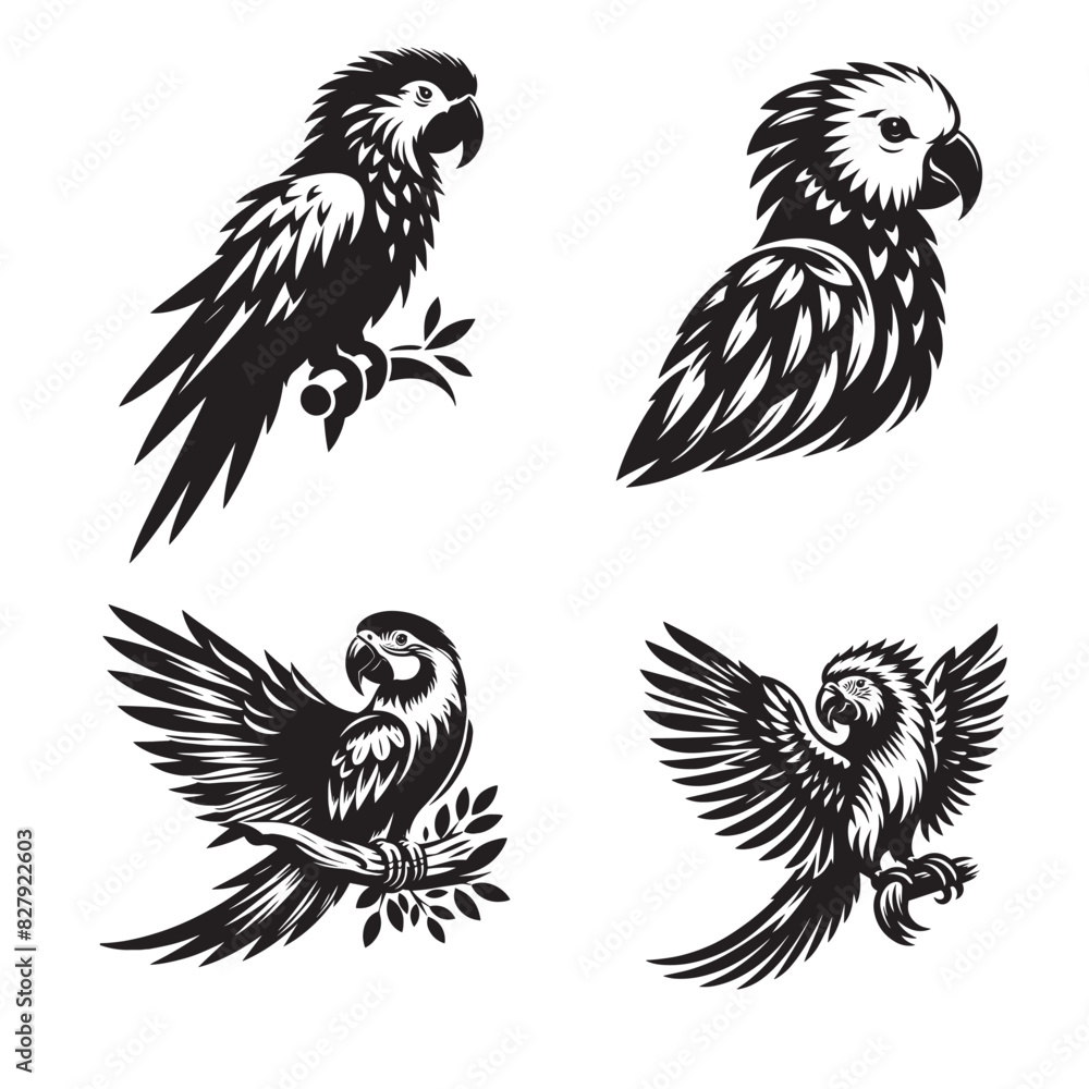 Parrot Silhouettes Vector Art, Black and White Parrot Silhouettes ...