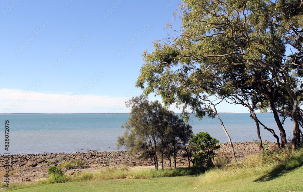Serene coastal landscape with a calm ocean, trees, rocks and blue sky ...