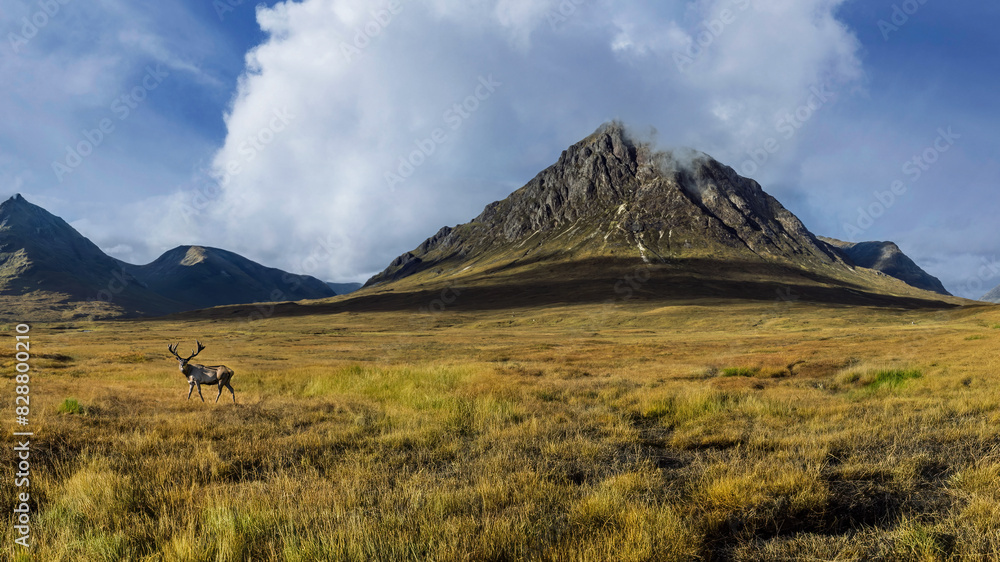 Stob Dearg is the highest and finest peak of Buachaille Etive Mòr, and ...