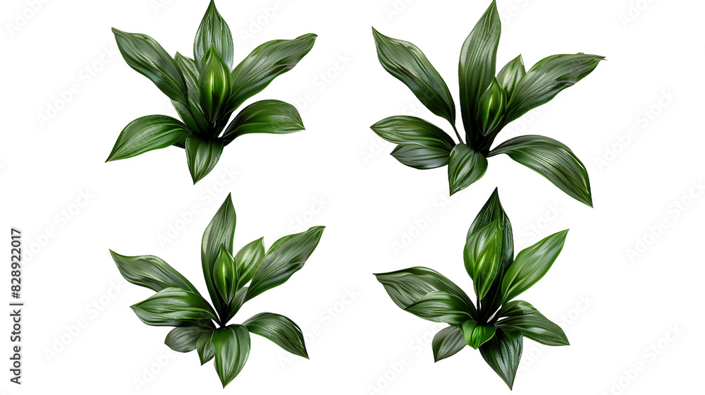 Technological Collection: 4 High-Quality Scanner Renders on Transparent ...