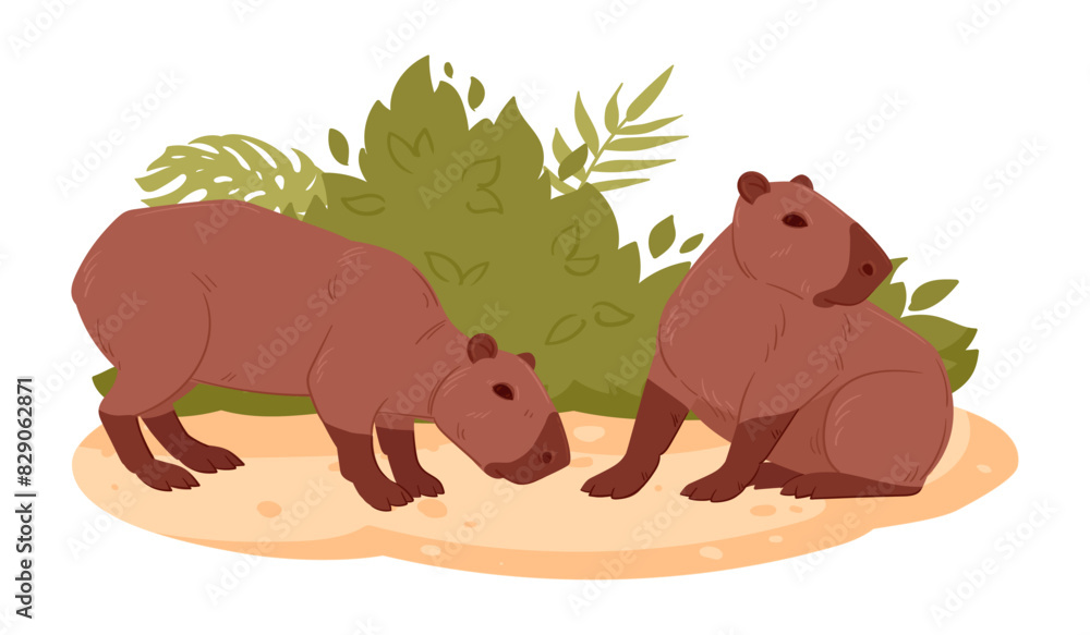 เวกเตอร์ Stock Cartoon wild capybaras. Herbivore mammals in natural ...
