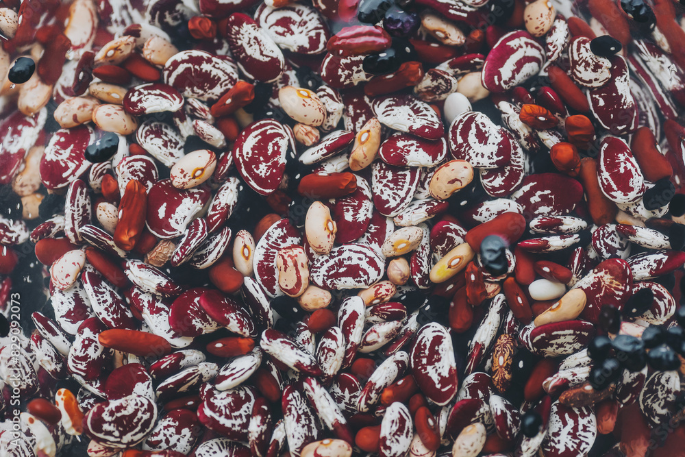 Many strew motley haricot beans under water,. Beans variety. different ...