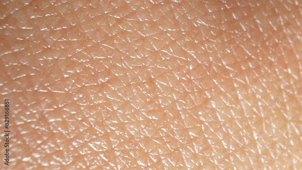 Macro explores human skin intricacies, revealing mesmerizing complexity ...