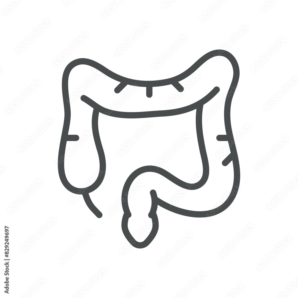 Colon Large Intestine Icon. Isolated Line Illustration of the Large ...