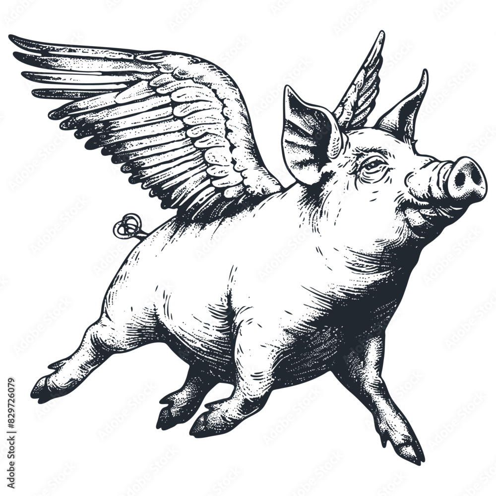 Flying pig with wings, vector illustration Stock Vector | Adobe Stock