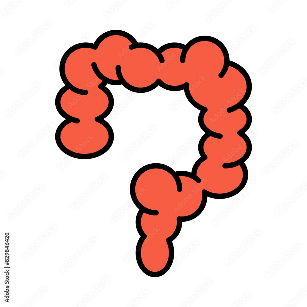 Intestine set icon. Large intestine, digestive system, colon, bowel ...