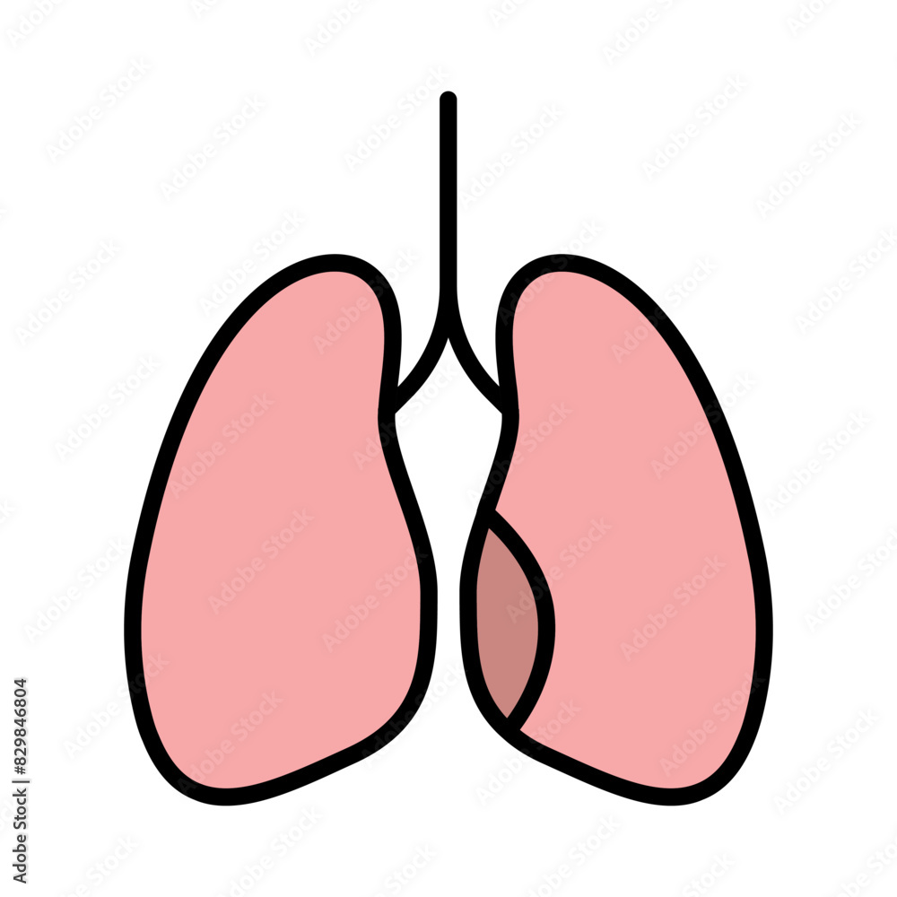 Lungs set icon. Respiratory system, lungs, bronchial tubes, alveoli ...