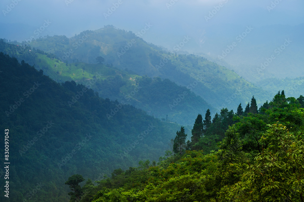 Himalayan mountains and lush green forest. Scenic natural beauty of ...