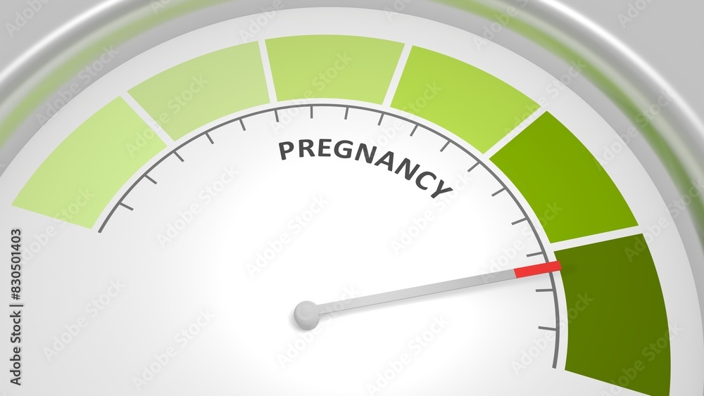 Meter scale with arrow. The pregnancy development measuring device ...