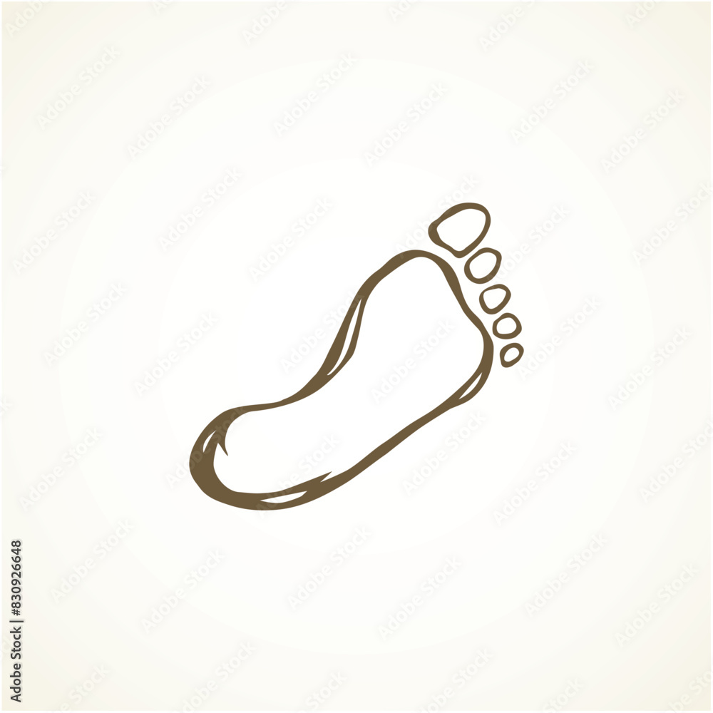 Foot. Vector drawing Stock Vector | Adobe Stock