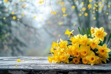 Two Yellow Daffodils Portrait Free Stock Photo - Public Domain Pictures