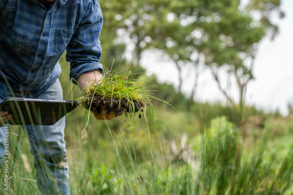 regenerative organic farmer, taking soil samples and looking at plant ...