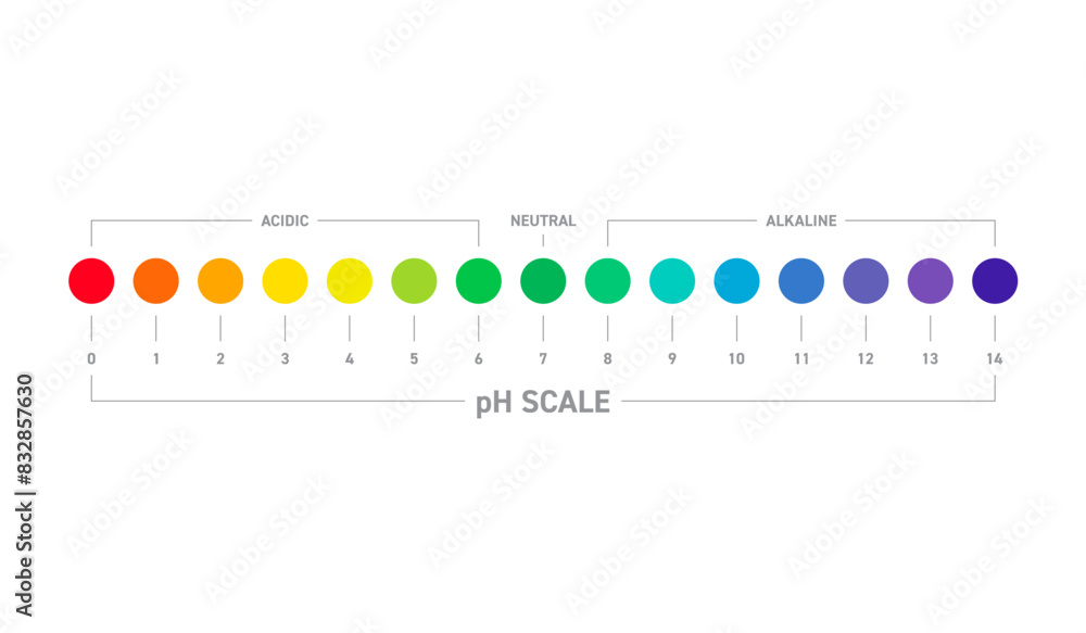 acid and base chart. pH scale. acid and base concept on white ...