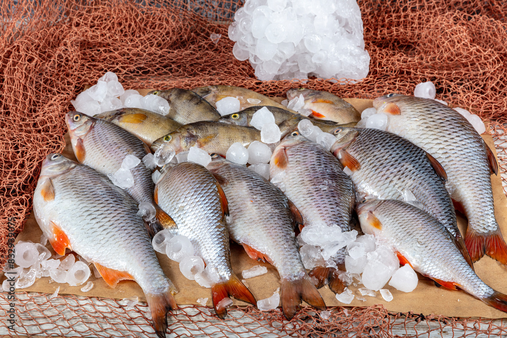 Freshwater fish carp are sold at the fishmonger's stall. Raw Greas carp ...