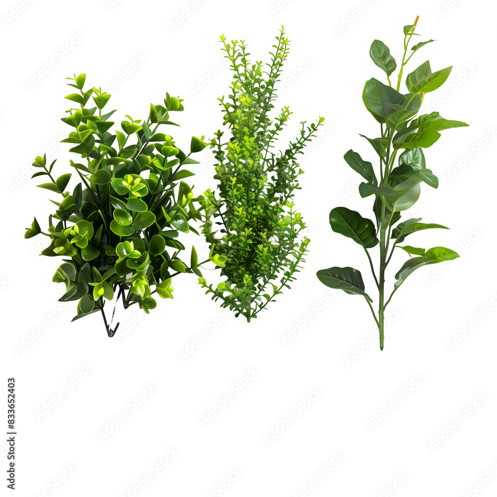 Decorative Garden Stakes, Isolated on a Transparent Background, Graphic ...