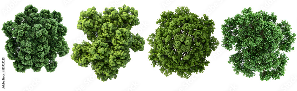 Top view set of green trees Isolated on transparent background, Use for ...
