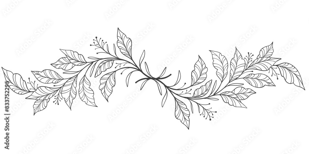 Outline Floral Botany. flower vector drawings. Black and white floral ...